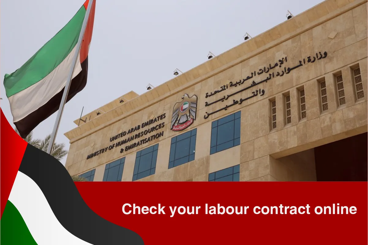 Check your labour contract online - Dubai UAE 2024
